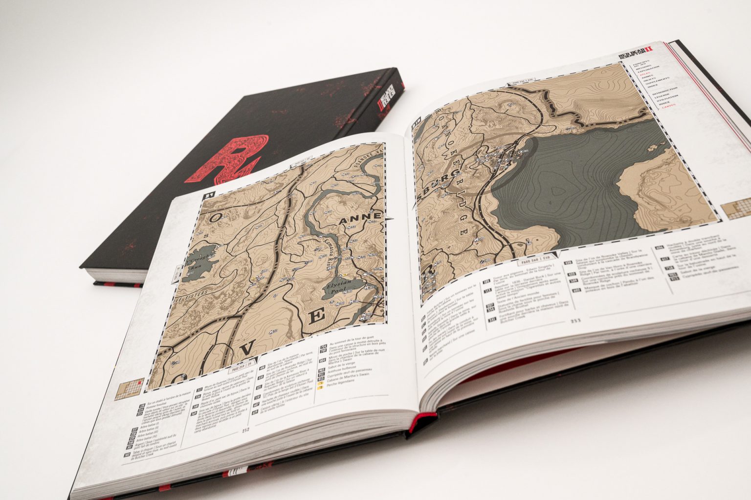 Red Dead Redemption 2 - Le Guide Officiel Complet - Piggyback.com