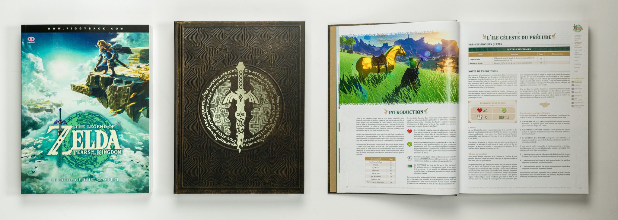 The Legend of Zelda™: Tears of the Kingdom - Le Guide Officiel Complet - Piggyback.com