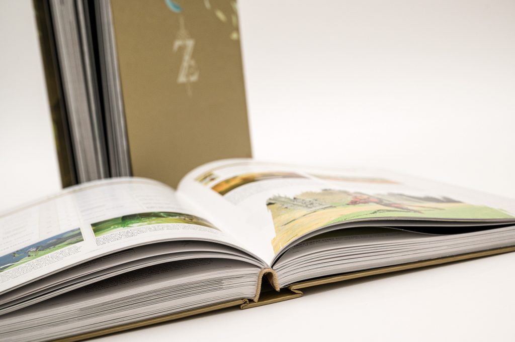 The Legend of Zelda: Breath of the Wild - The Complete Official Guide ...